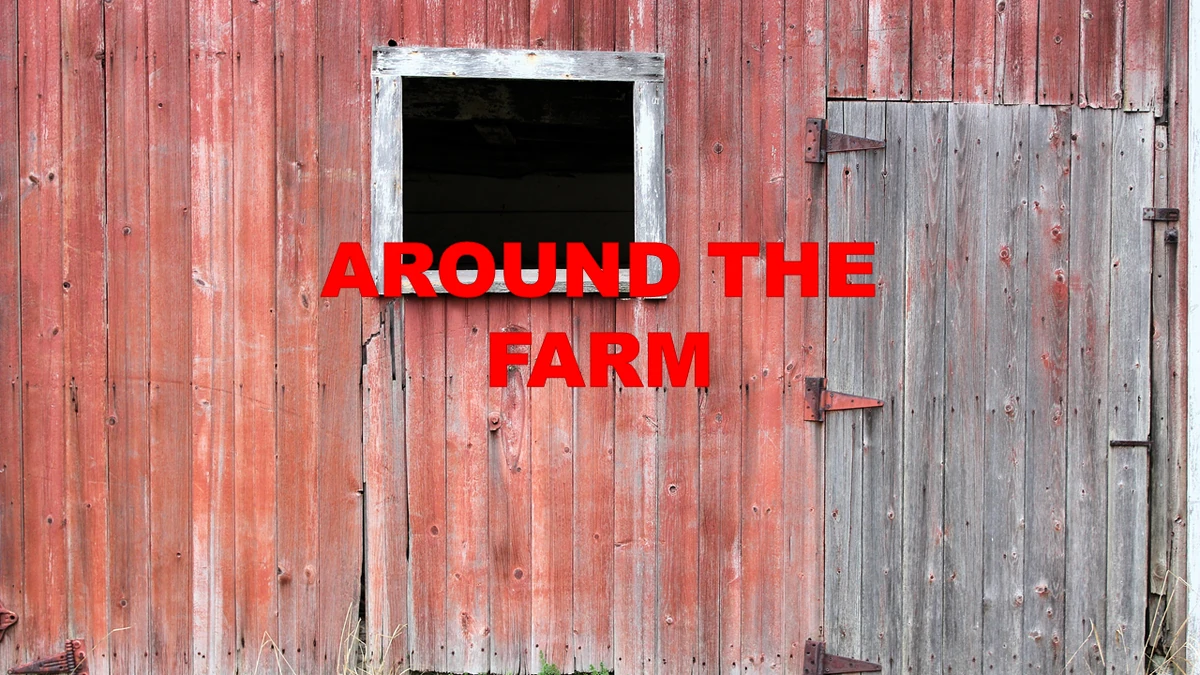 Around The Farm | The Nick Jr. Extravaganza Wiki | Fandom