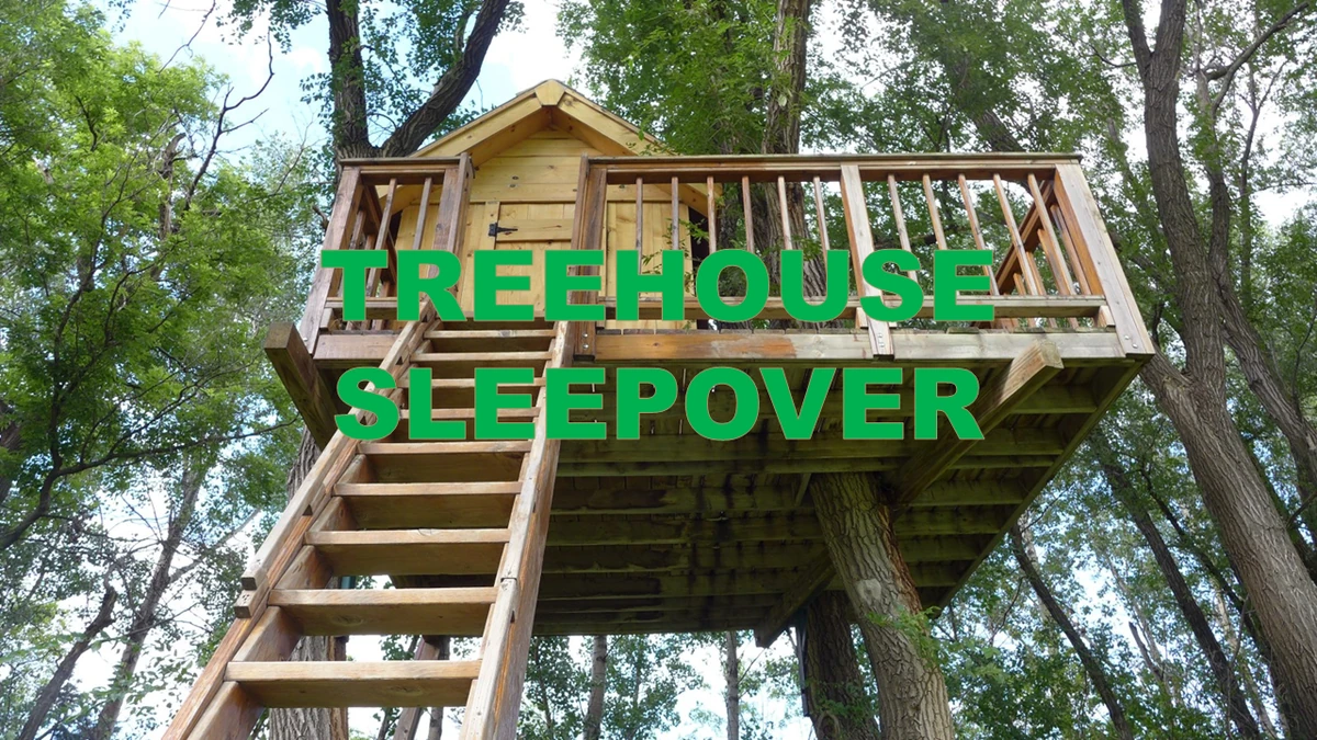 Treehouse Sleepover | The Nick Jr. Extravaganza Wiki | Fandom