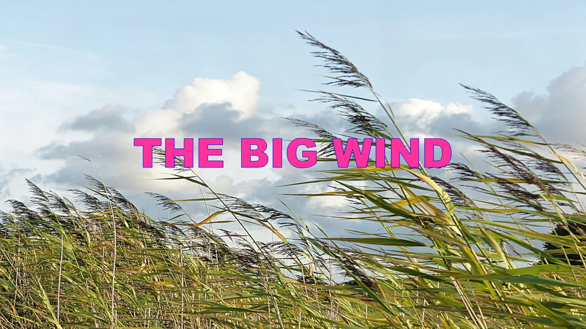 The Big Wind | The Nick Jr. Extravaganza Wiki | Fandom