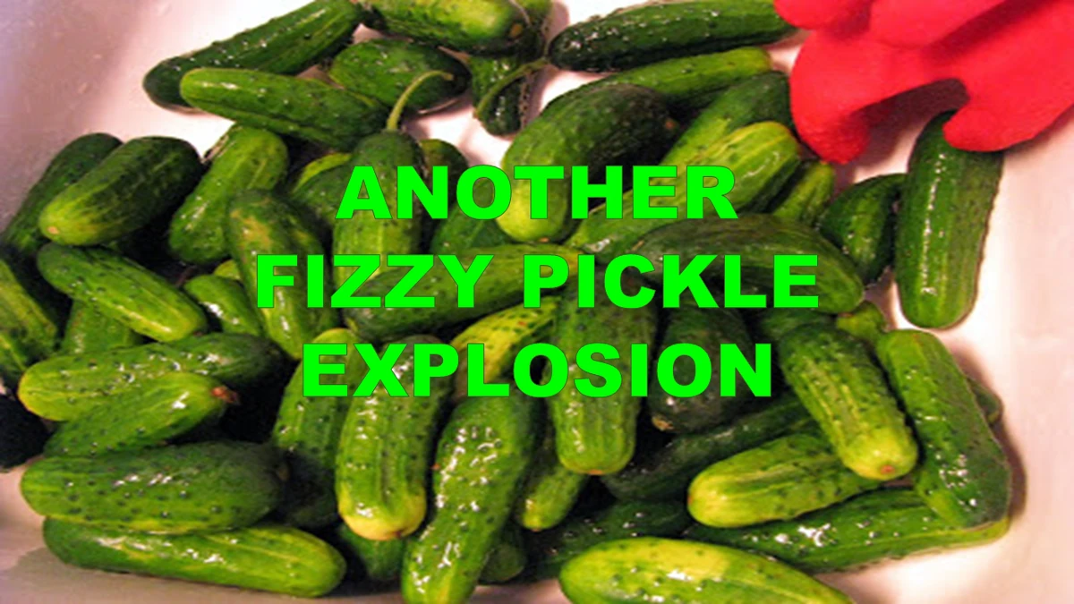Another Fizzy Pickle Explosion | The Nick Jr. Extravaganza Wiki | Fandom