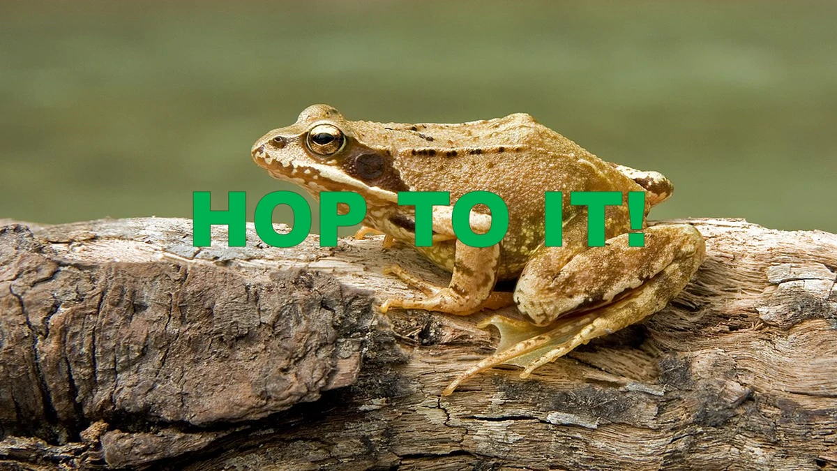 Hop To It! | The Nick Jr. Extravaganza Wiki | Fandom