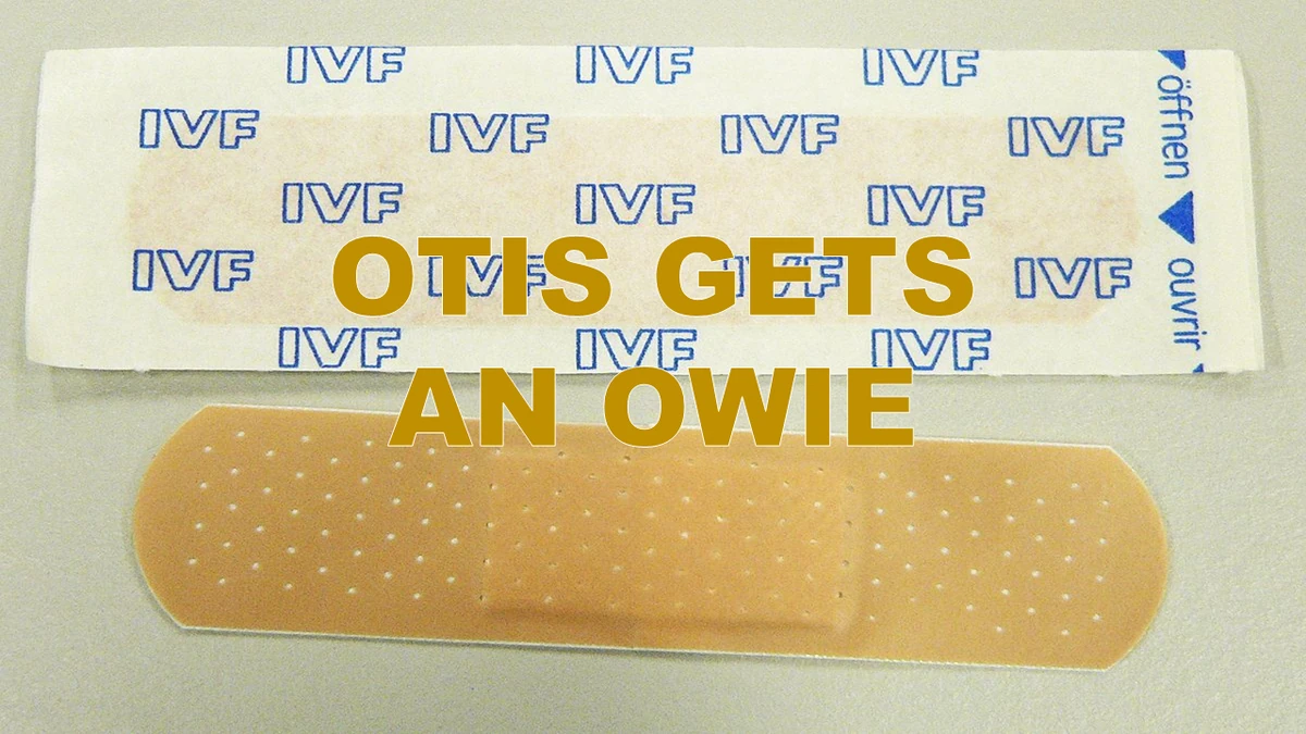 Otis Gets An Owie | The Nick Jr. Extravaganza Wiki | Fandom
