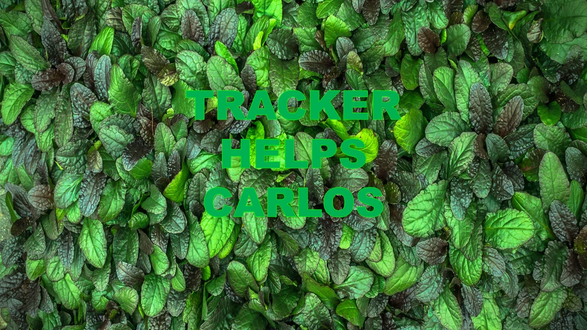 Tracker Helps Carlos | The Nick Jr. Extravaganza Wiki | Fandom