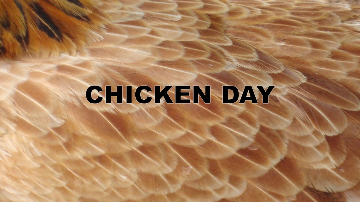 Chicken Day | The Nick Jr. Extravaganza Wiki | Fandom