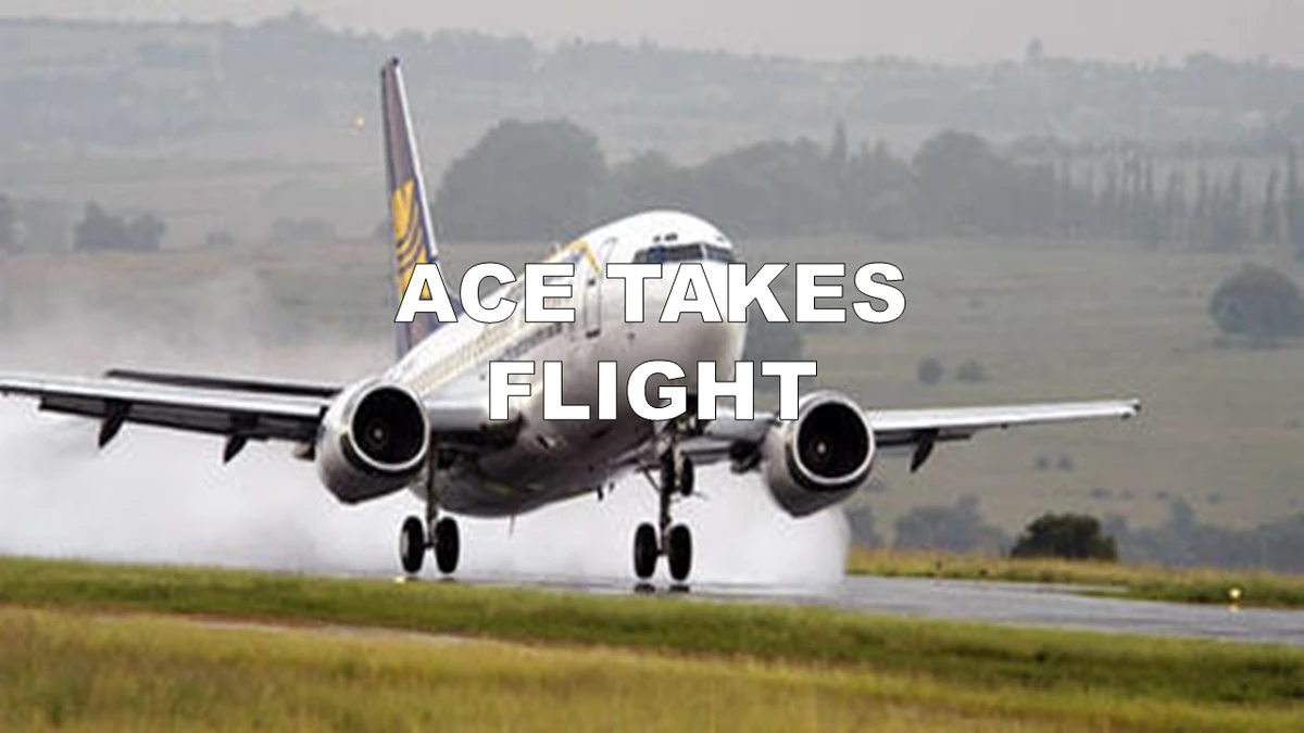 Ace Takes Flight | The Nick Jr. Extravaganza Wiki | Fandom