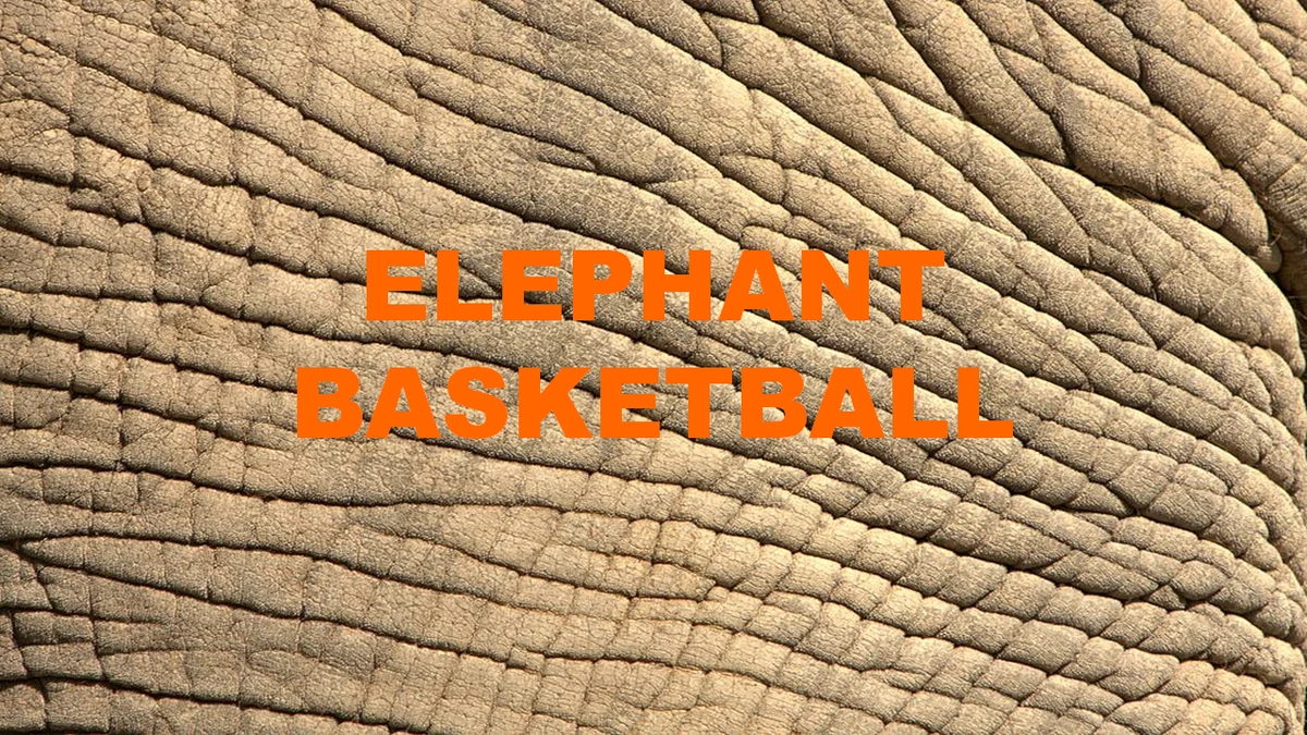 Elephant Basketball | The Nick Jr. Extravaganza Wiki | Fandom