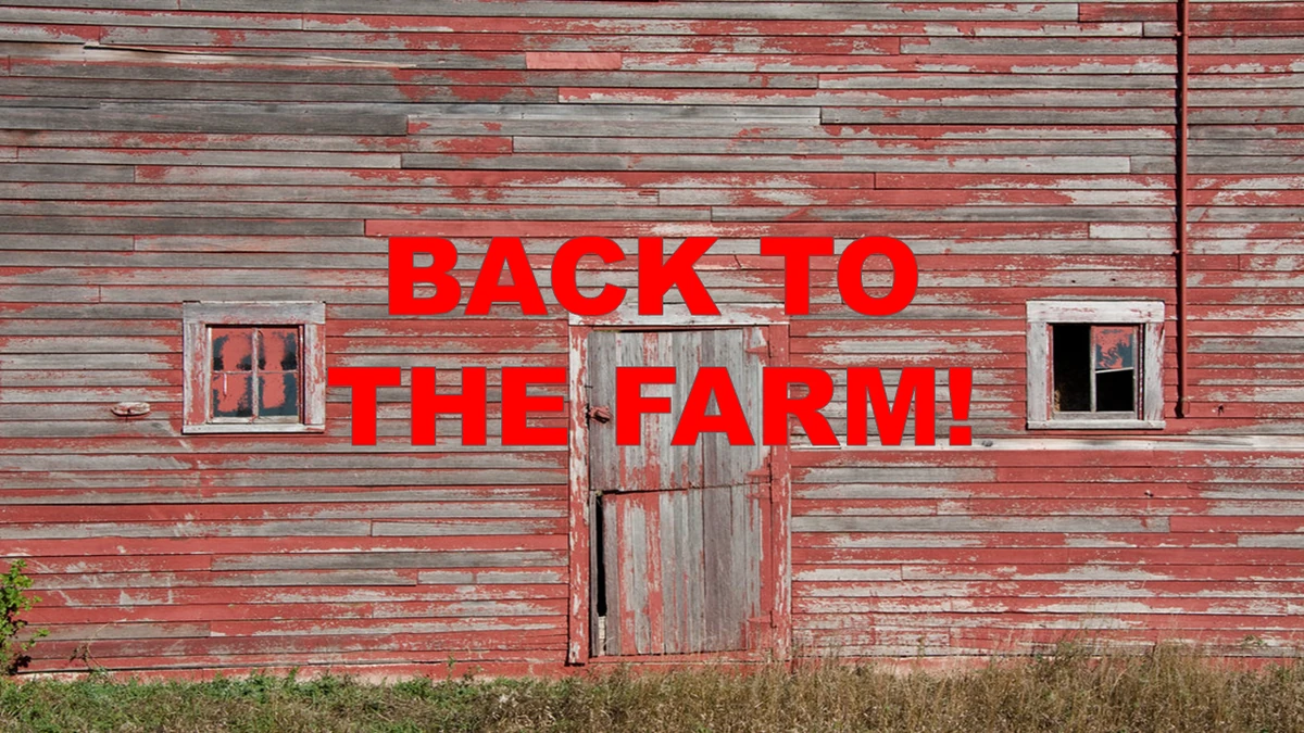 Back To The Farm! | The Nick Jr. Extravaganza Wiki | Fandom