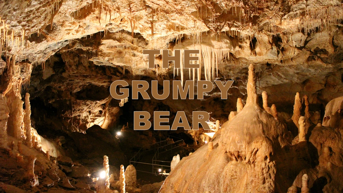 The Grumpy Bear | The Nick Jr. Extravaganza Wiki | Fandom