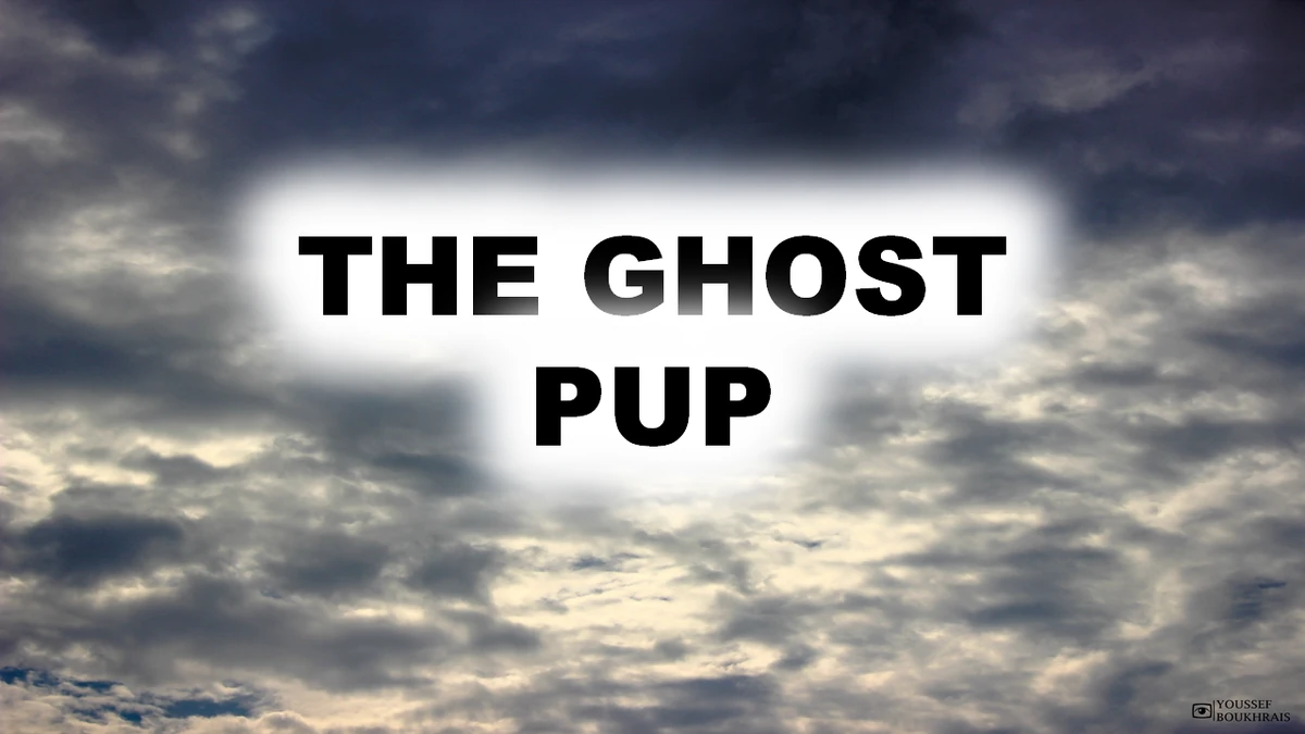 The Ghost Pup | The Nick Jr. Extravaganza Wiki | Fandom