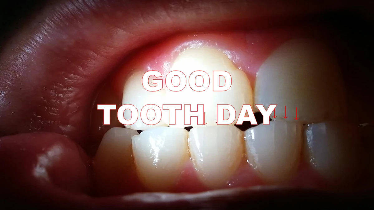 Good Tooth Day | The Nick Jr. Extravaganza Wiki | Fandom