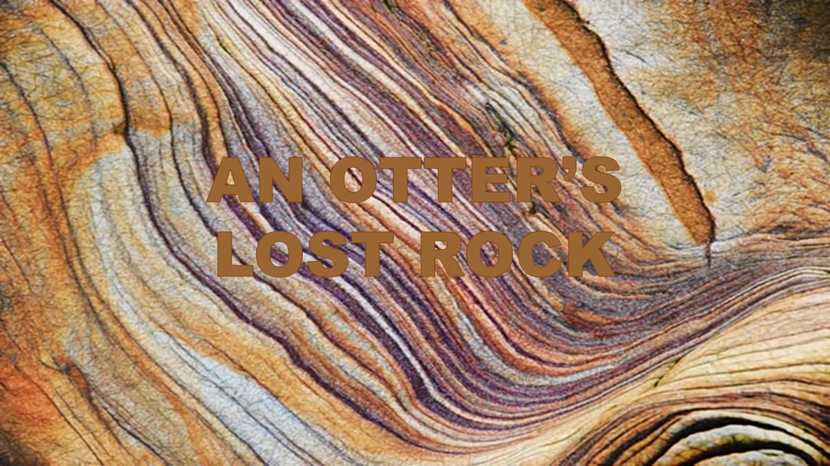 An Otter's Lost Rock | The Nick Jr. Extravaganza Wiki | Fandom