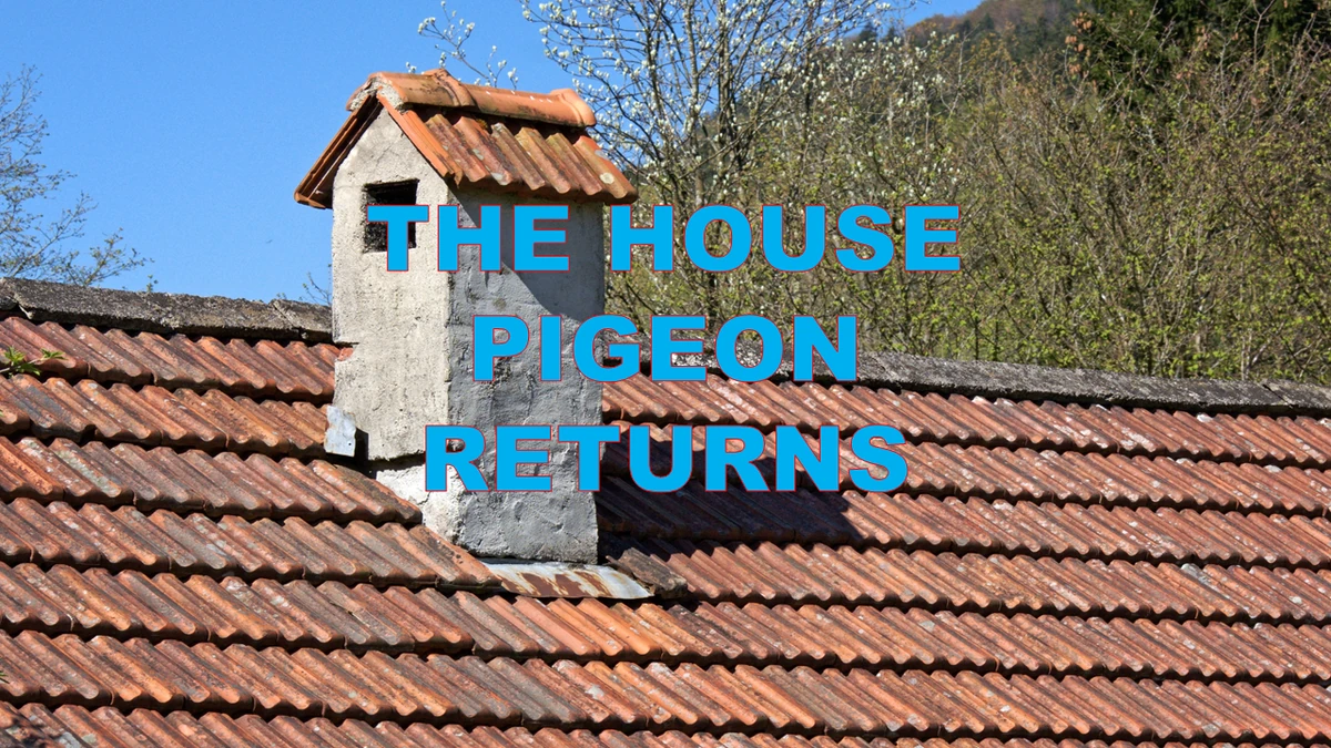 The House Pigeon Returns | The Nick Jr. Extravaganza Wiki | Fandom