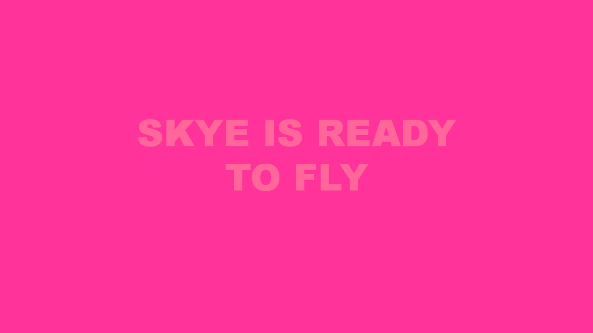 Skye Is Ready To Fly | The Nick Jr. Extravaganza Wiki | Fandom