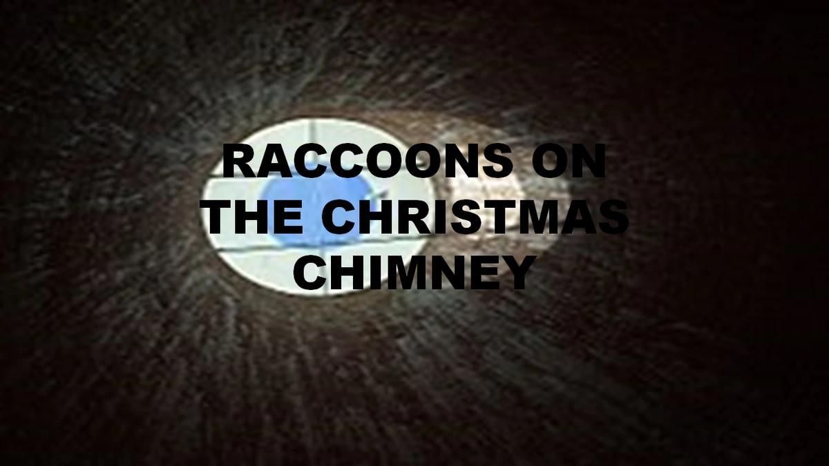 Raccoons On The Christmas Chimney | The Nick Jr. Extravaganza Wiki | Fandom