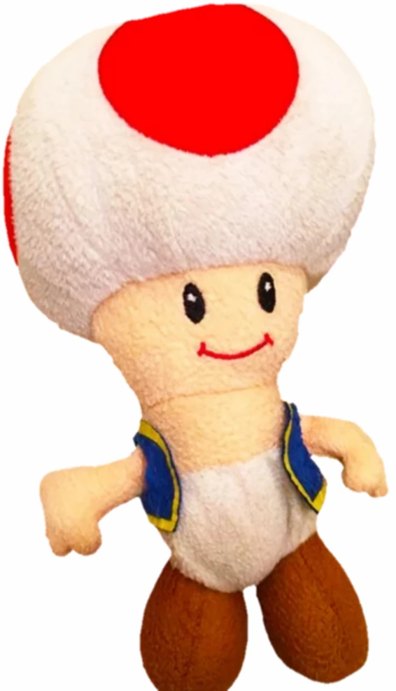 Toad | The Settlement Wiki | Fandom