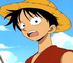 Monkey D. Luffy | The Abridged Series Wiki | Fandom