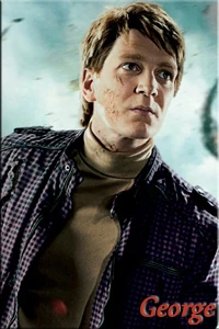 George Weasley | Theadminstories Wiki | Fandom