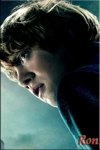 Ron Weasley | Theadminstories Wiki | Fandom