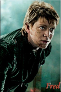 Fred Weasley | Theadminstories Wiki | Fandom