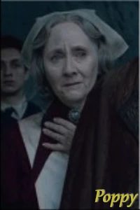 Madame Pomfrey | Theadminstories Wiki | Fandom