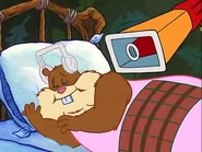 Hibernating Sandy Cheeks | THE ADVENTURES OF GARY THE SNAIL Wiki | Fandom