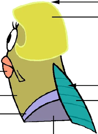 New incidental | THE ADVENTURES OF GARY THE SNAIL Wiki | Fandom