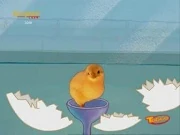 Roger (chick) | THE ADVENTURES OF GARY THE SNAIL Wiki | Fandom