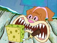 Hibernating Sandy Cheeks | THE ADVENTURES OF GARY THE SNAIL Wiki | Fandom