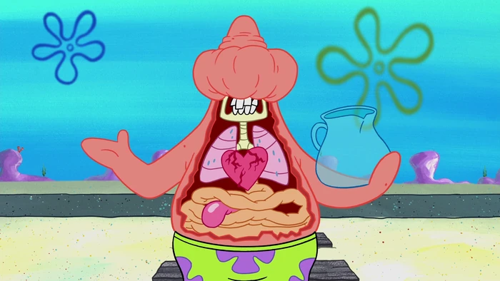 Patrick's organs | THE ADVENTURES OF GARY THE SNAIL Wiki | Fandom