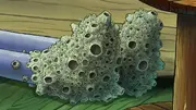 Barnacles (disease) | THE ADVENTURES OF GARY THE SNAIL Wiki | Fandom