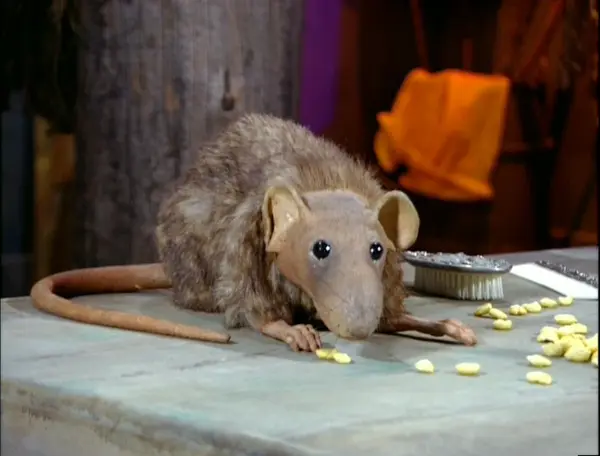 Rat | THE ADVENTURES OF GARY THE SNAIL Wiki | Fandom