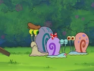 Mary the Snail | THE ADVENTURES OF GARY THE SNAIL Wiki | Fandom