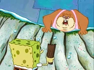 Hibernating Sandy Cheeks | THE ADVENTURES OF GARY THE SNAIL Wiki | Fandom