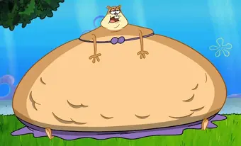 Sandy Cheeks Inflation Head Sandy Cheeks Fur Sandy Cheeks/gallery