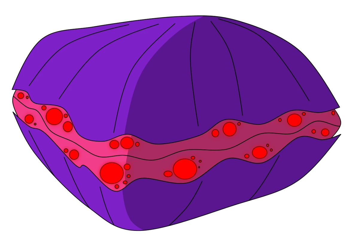 Shellshocked | The Alan 10 Adventures Wikia | Fandom
