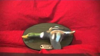 Singing flying duck | The All About Singing Fish Wiki | Fandom