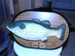 SINGENDER FISCH | The All About Singing Fish Wiki | Fandom