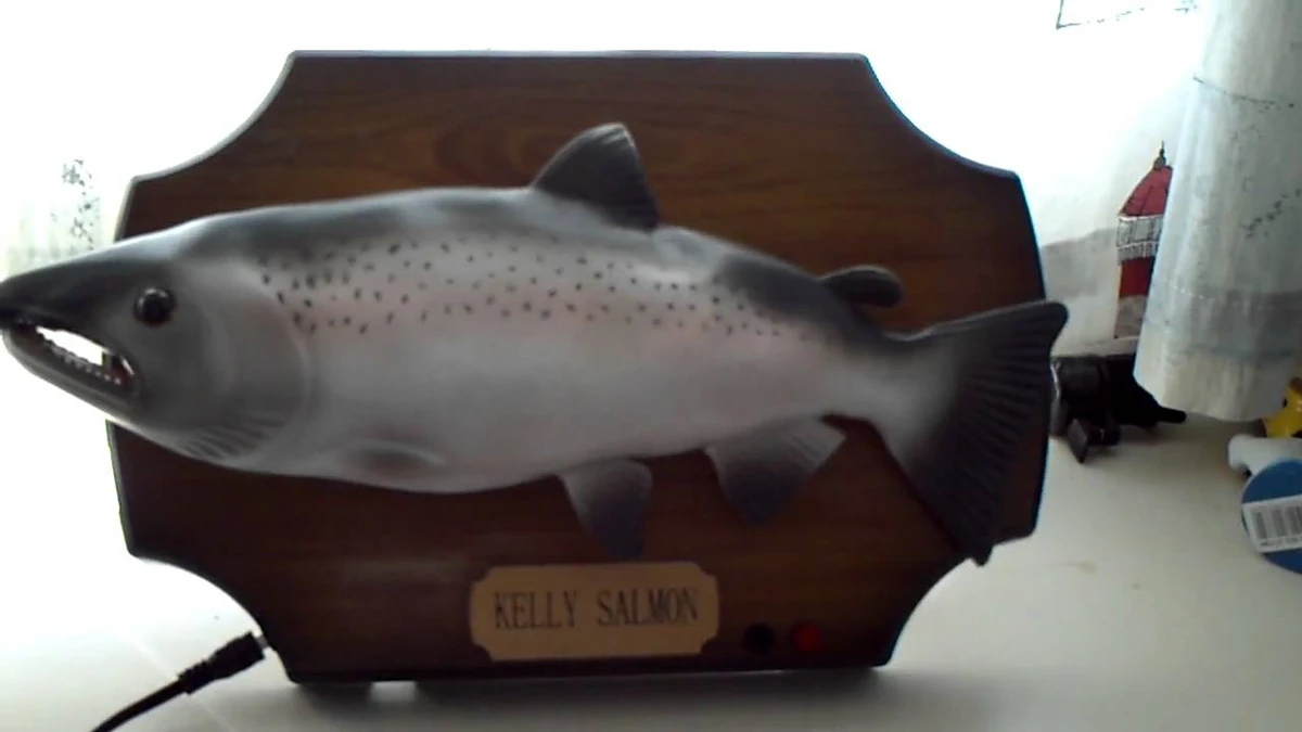 Kelly Salmon | The All About Singing Fish Wiki | Fandom