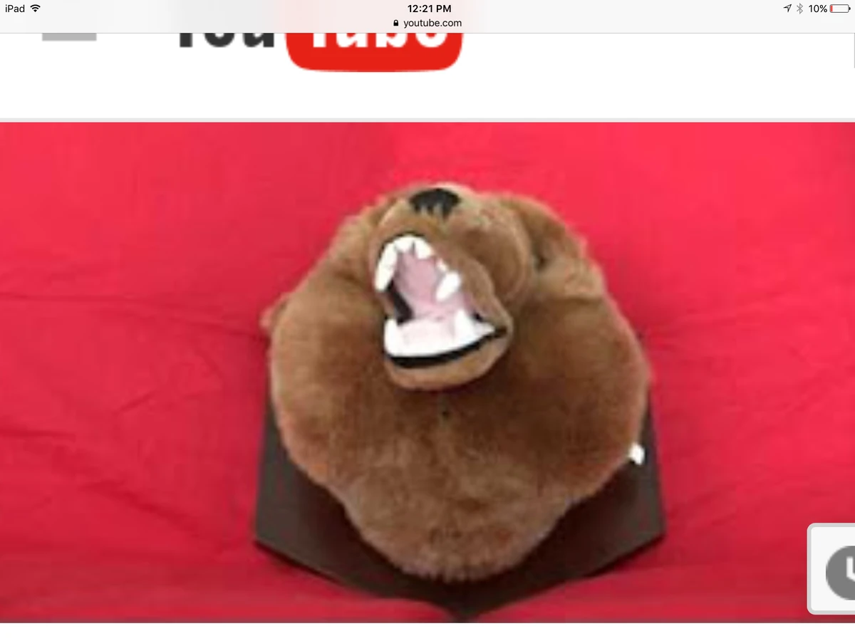 Brown bear head | The All About Singing Fish Wiki | Fandom