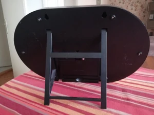 SINGENDER FISCH | The All About Singing Fish Wiki | Fandom