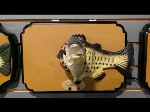 Sammy The Singing Salmon | The All About Singing Fish Wiki | Fandom