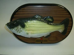 SINGENDER FISCH | The All About Singing Fish Wiki | Fandom