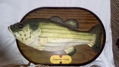 SINGENDER FISCH | The All About Singing Fish Wiki | Fandom