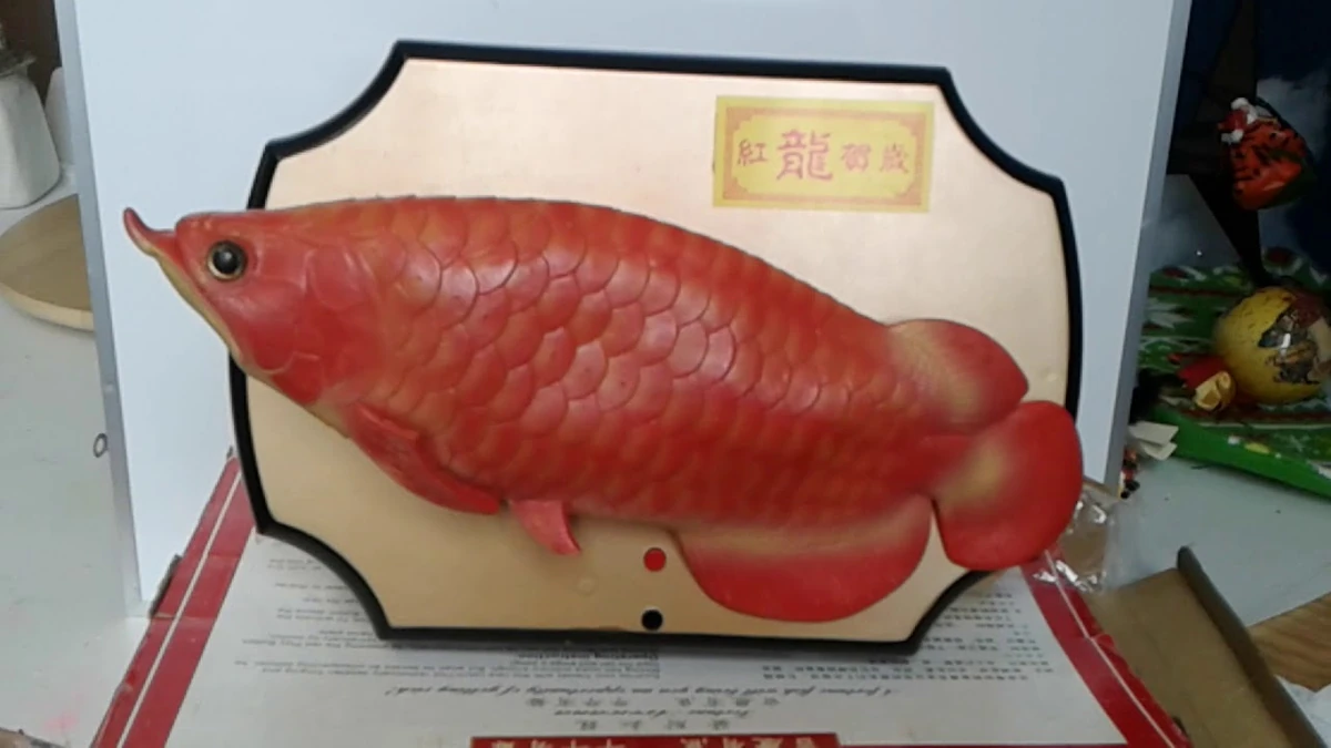 Singing Arowana | The All About Singing Fish Wiki | Fandom