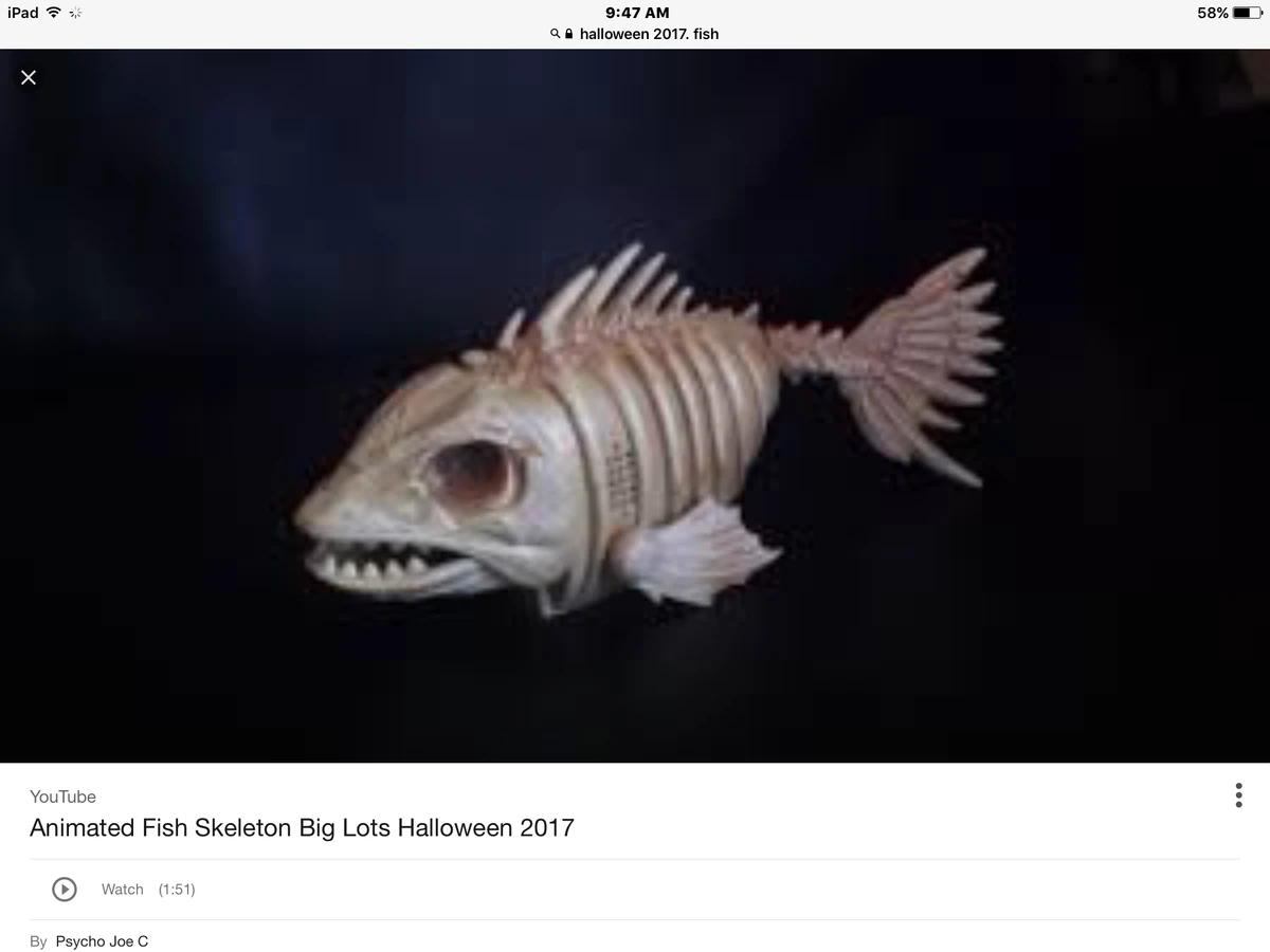 Skeleton fish | The All About Singing Fish Wiki | Fandom