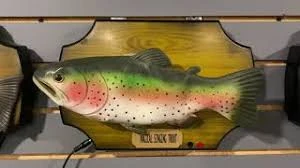 Magical Singing Trout | The All About Singing Fish Wiki | Fandom