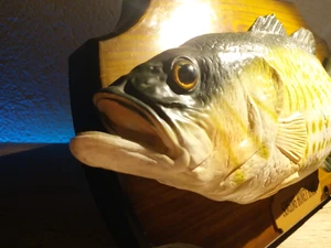 SINGING HONEY BASS | The All About Singing Fish Wiki | Fandom