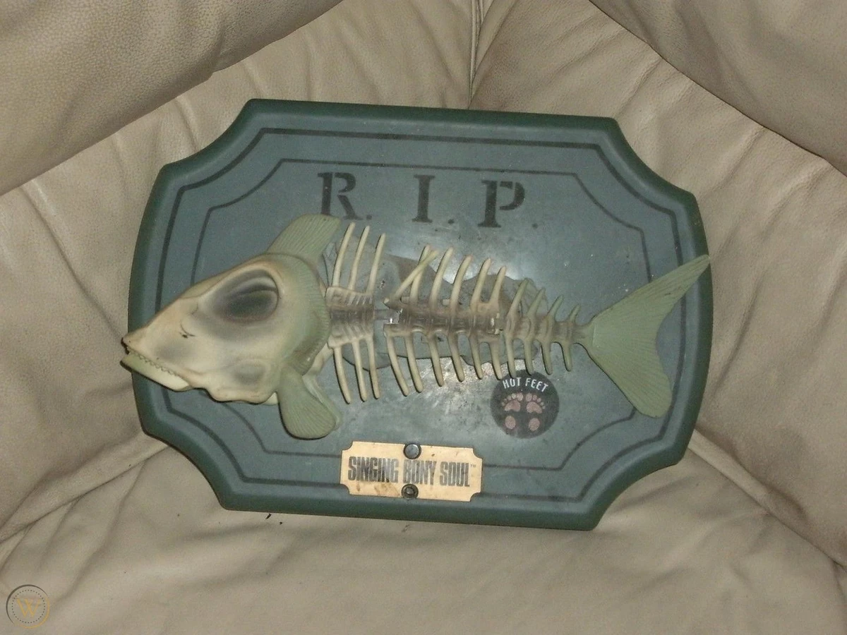 Singing Bony Soul | The All About Singing Fish Wiki | Fandom
