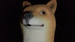 Bark Man | The Allen Show Wiki | Fandom