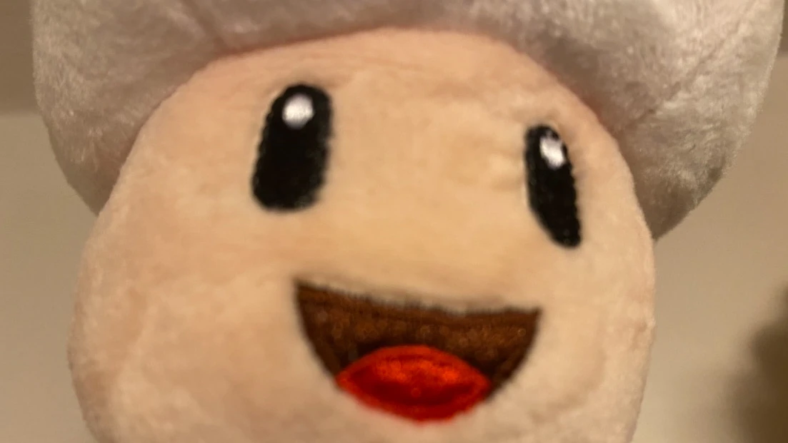 Toad | The Allen Show Wiki | Fandom